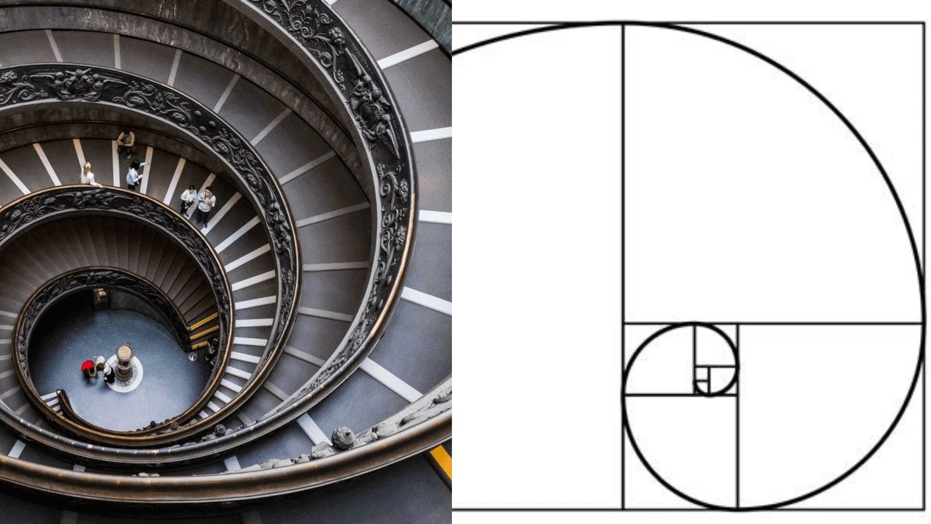 Proportia de aur în estetică si artă | Proestetic